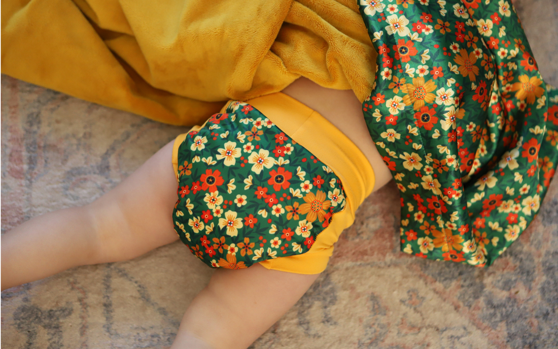 Smart Bottoms Organic Cloth Diapers and Baby Goods