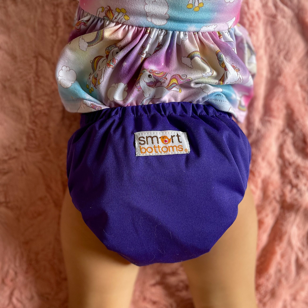 Smart Bottoms' Dream Diaper 2.0 Cloth Diaper - Basic Purple
